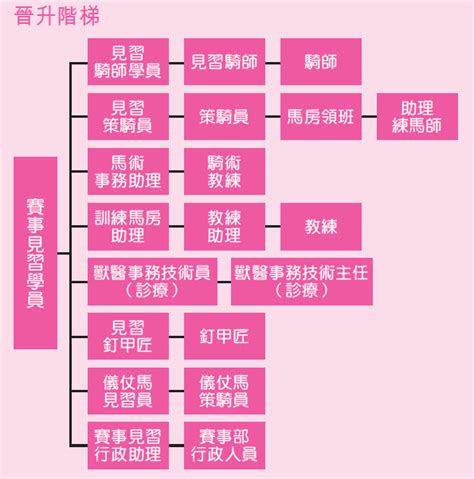 香港賽馬會見習騎師學校學徒及見習訓練計劃一覽