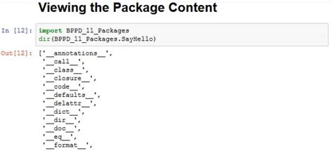 How To View The Package Content With Python Dummies