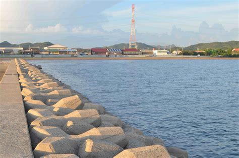 白浜海岸再び 2 こぴっとちぴっと