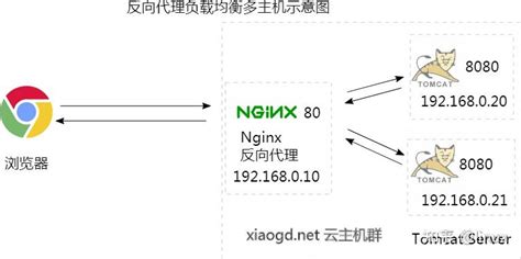 Nginx