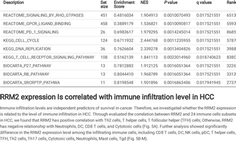 Results Of Gene Set Enrichment Analysis Gsea Download Scientific
