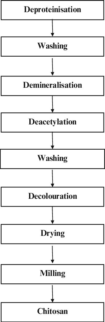 Flow Chart For Chitosan Production Download Scientific Diagram