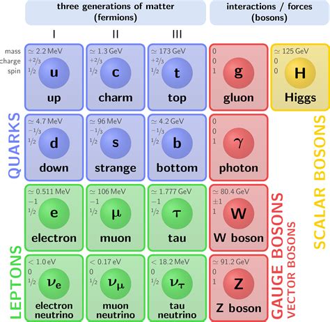 Standard Model TikZ Net