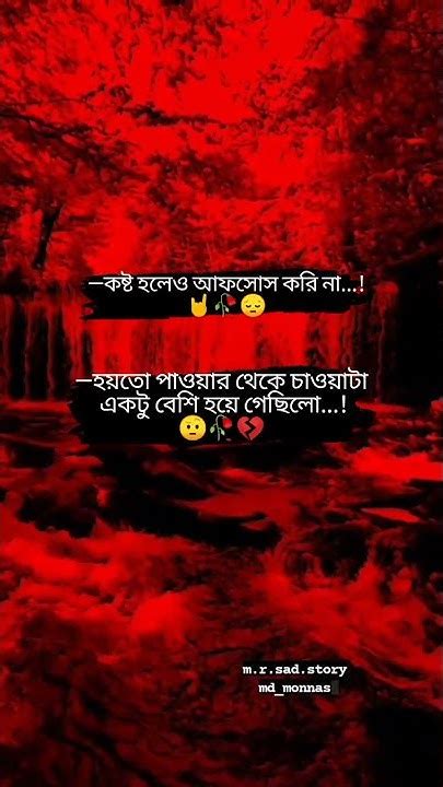 কষ্ট হলেও আফসোস করি না হয়তো পাওয়ার থেকে চাওয়া টা বেশী হয়ে গেছিলো