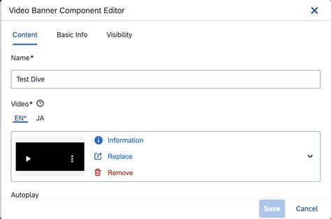 Smartedit With Spartacus Video And Pdf Components Not Working · Issue