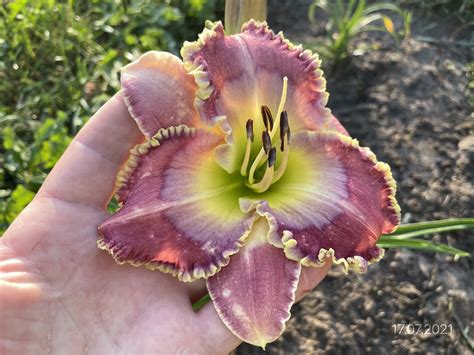 Risunok Devochki Translate Girls Drawing Alex Flowers