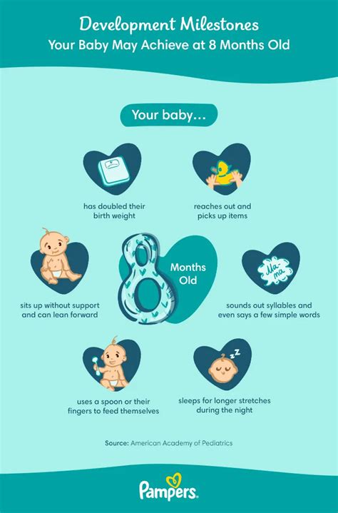 Fetal Development Month 8