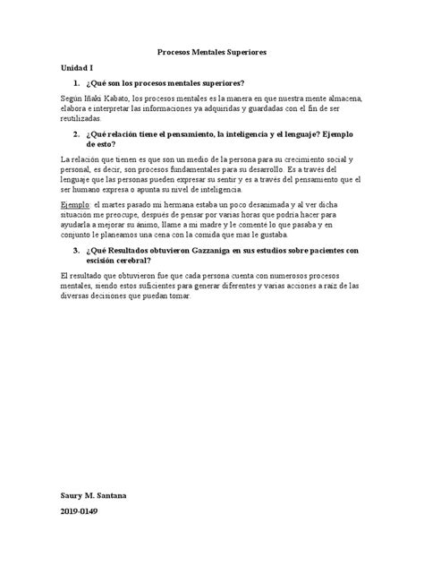 Procesos Mentales Superiores1 Pdf