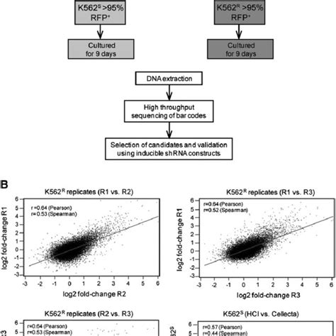 Experimental Design And Reproducibility A Flow Diagram Showing The Download Scientific