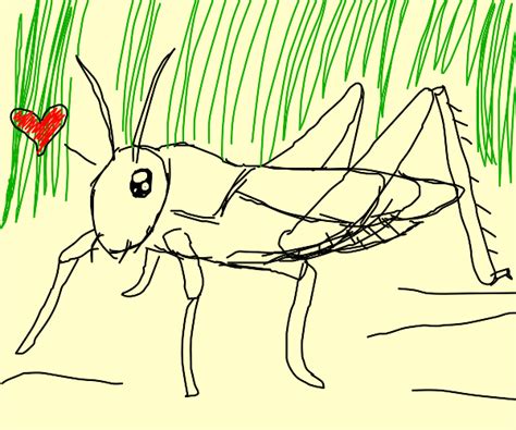 Cute Grasshopper Drawception Cute Grasshopper Drawception
