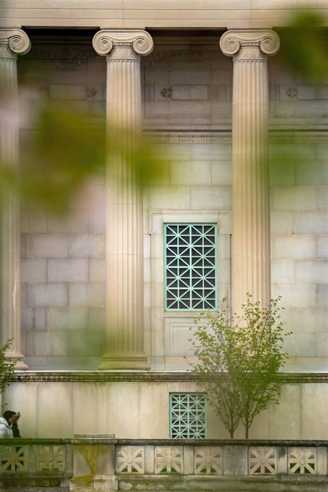 A Building With Columns And A Tree In Front Of It Photo Free Chicago