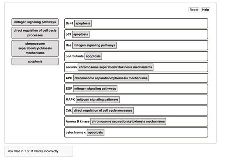 Help Pls Reset Help Mitogen Signaling Pathways Bcl 2 Apoptosis Direct