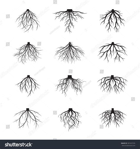 Set Many Different Black Roots Tree Stock Vector Royalty Free 587437376 Shutterstock