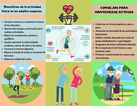 El Ejercicio Físico Es Fundamental Para Que Los Adultos Mayores