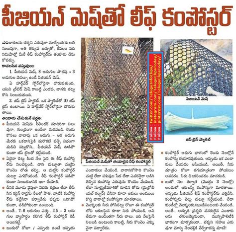 Leaf Composter With Mesh For Garden Telugu Information