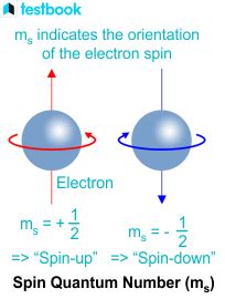 Spin Quantum Number Learn Discovery Formula Significance Etc