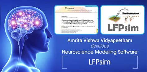 Amrita Vishwa Vidyapeetham Develops Neuroscience Modeling Software Lfpsim Amrita Vishwa
