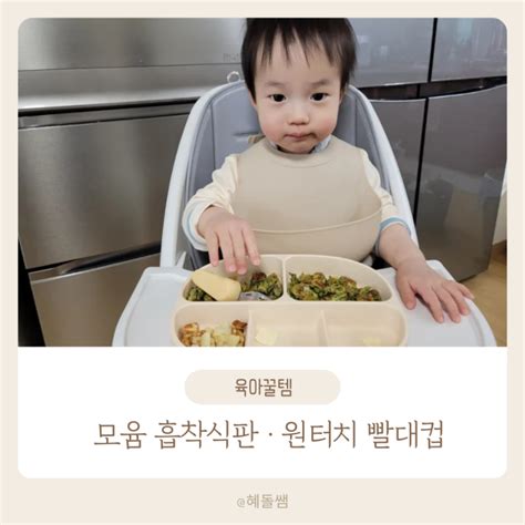 모윰 흡착식판 원터치 빨대컵 이유식 식기세트 필수템 네이버 블로그