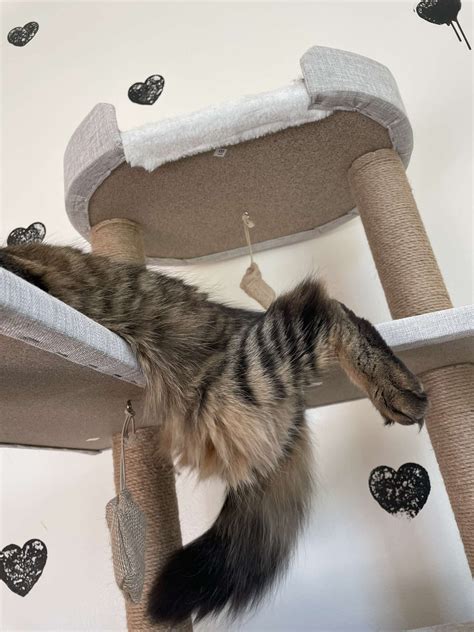 Frontend Vs Backend Code Rprogrammerhumor