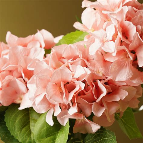 Shop Pink Hydrangea Artificial Flower Stem Single At Best Price