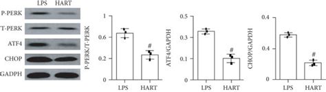 A Flow Cytometric Sorting Of Cd11c And Cd86 Cells In Lymph Nodes Download Scientific
