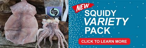 Hey Skipper Home Hey Skipper