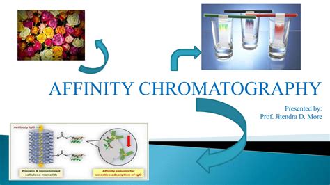 Affinity Chromatography Pptx