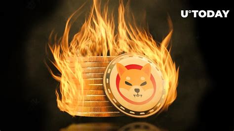 Shiba Inu Sees Epic 11 Billion Shib Weekly Burn First Time In Months