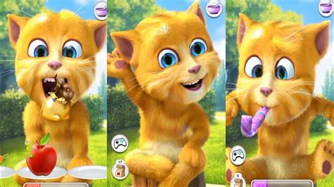 Talking Tom Talking Ginger 👀💀🐍🐸🌈🔥🍄🐊🐢tom Cat Gameplay Funny Youtube