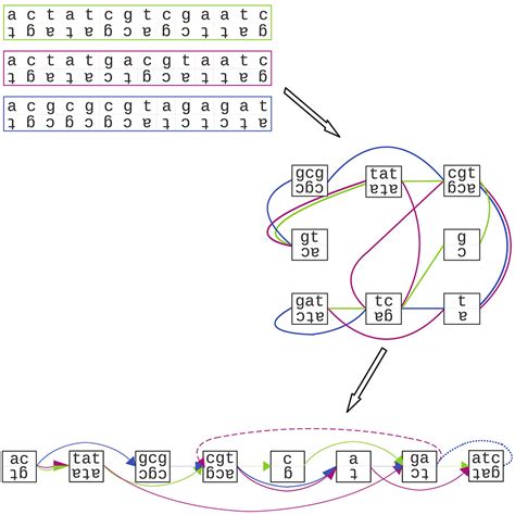 Linearization Of Genome Sequence Graphs Revisited Iscience