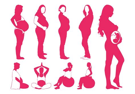 Pregnant Women Silhouettes Download Free Vector Art Stock Graphics