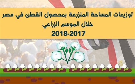 إنفوجراف توزيعات المساحة المنزرعة بمحصول القطن في مصر معلومات مباشر