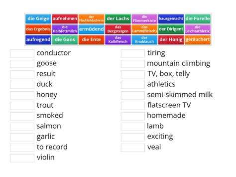 Aqa Gcse German Higher Free Time Part 1 Match Up
