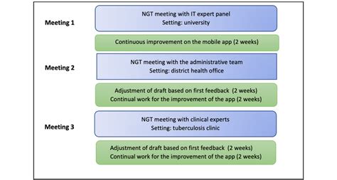 flow of the modified nominal group technique ngt meetings download