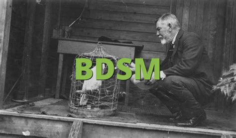Bdsm Meaning Slang Term Definition And Example Usage