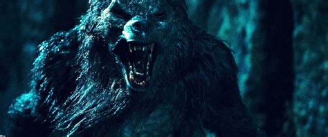 Loups Garous Wiki Underworld Fandom Powered By Wikia
