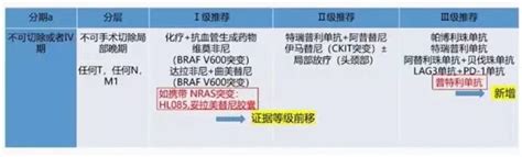 2023CSCO恶性黑色素瘤指南更新亮点 黑色素瘤 替尼胶囊 普特利单 CSCO 诊疗指南 健康界