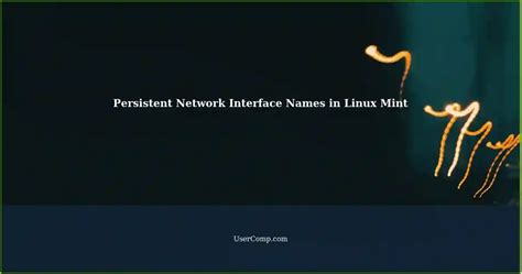 Persistent Names For Network Interfaces In Linux Mint 213 A