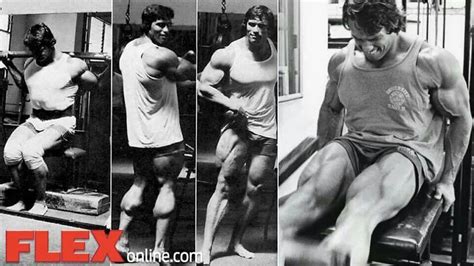 Arnold Muscle Fitness Fitness Goals Fitness Motivation Arnold