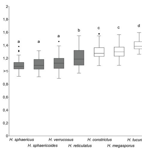 Mean Length Width Ratios Of Lenticular Conidia Of Hermatomyces Species