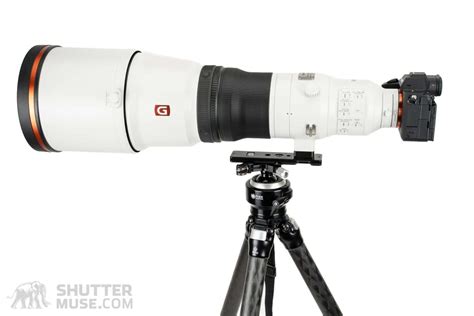 The Best All In One Tripod Head For Wildlife And Landscapes