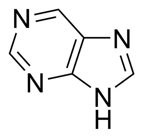 In The Diagram Which Labeled Structure Is A Purine Base Solv
