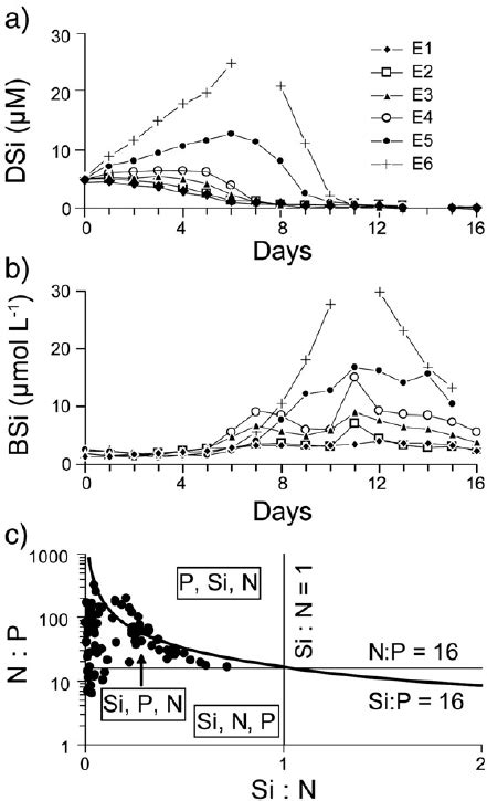 Evolution Of A Silicic Acid Dsi And B Biogenic Silica Bsi
