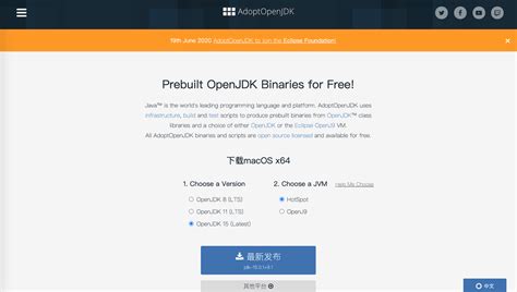 VSCode完美配置Java开发环境附官方英文翻译 哔哩哔哩