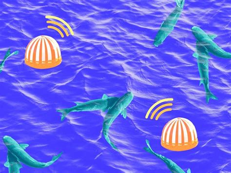 Yves Mulkers On Linkedin Underwater Iot The Promise Of Data Analytics