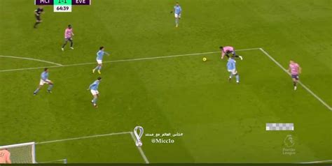 Video Demarai Gray Scores A Screamer To Equalise For Everton Against