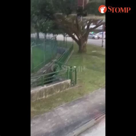 Stomp Singapore On Twitter 68 Year Old Motorcyclist Dies After