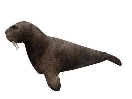 Second Life Marketplace - walrus 7 prims