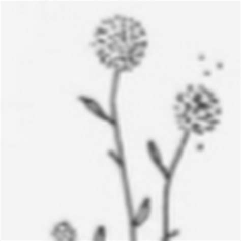 Josie Calva Despard Youtube