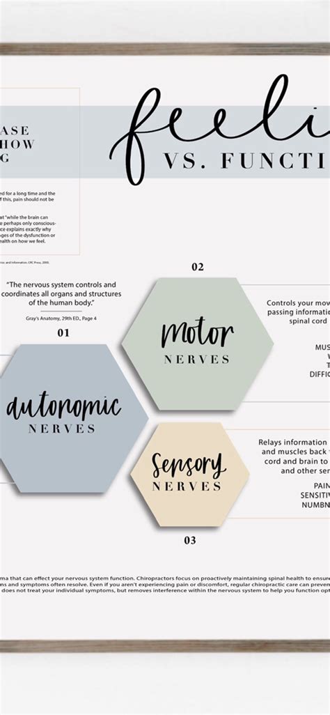 New Feeling Vs Function Poster Chiropractic Education Poster